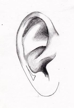 Les détails du portrait. Comment dessiner les oreilles